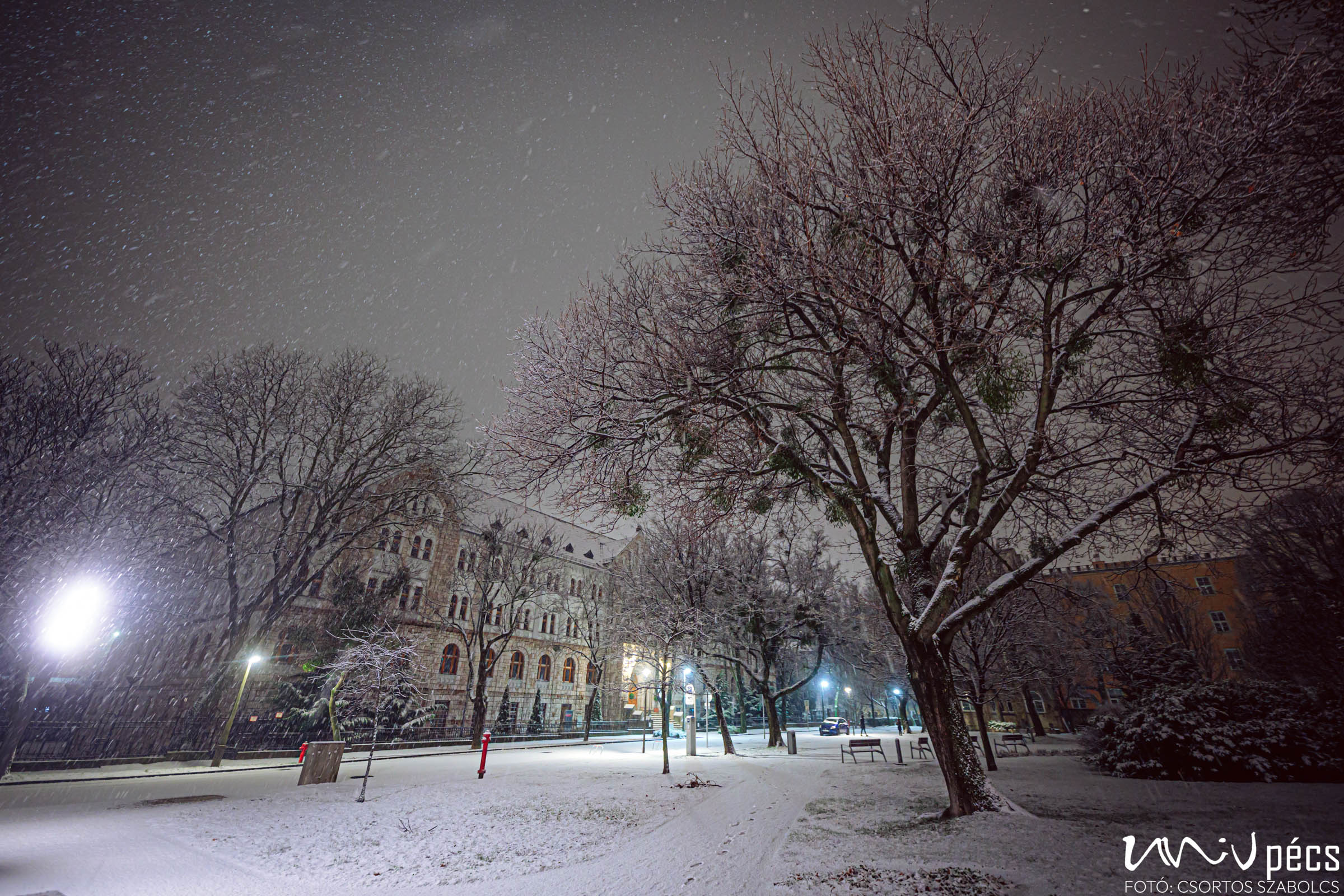 Central Washington University | Hungary: University of Pécs