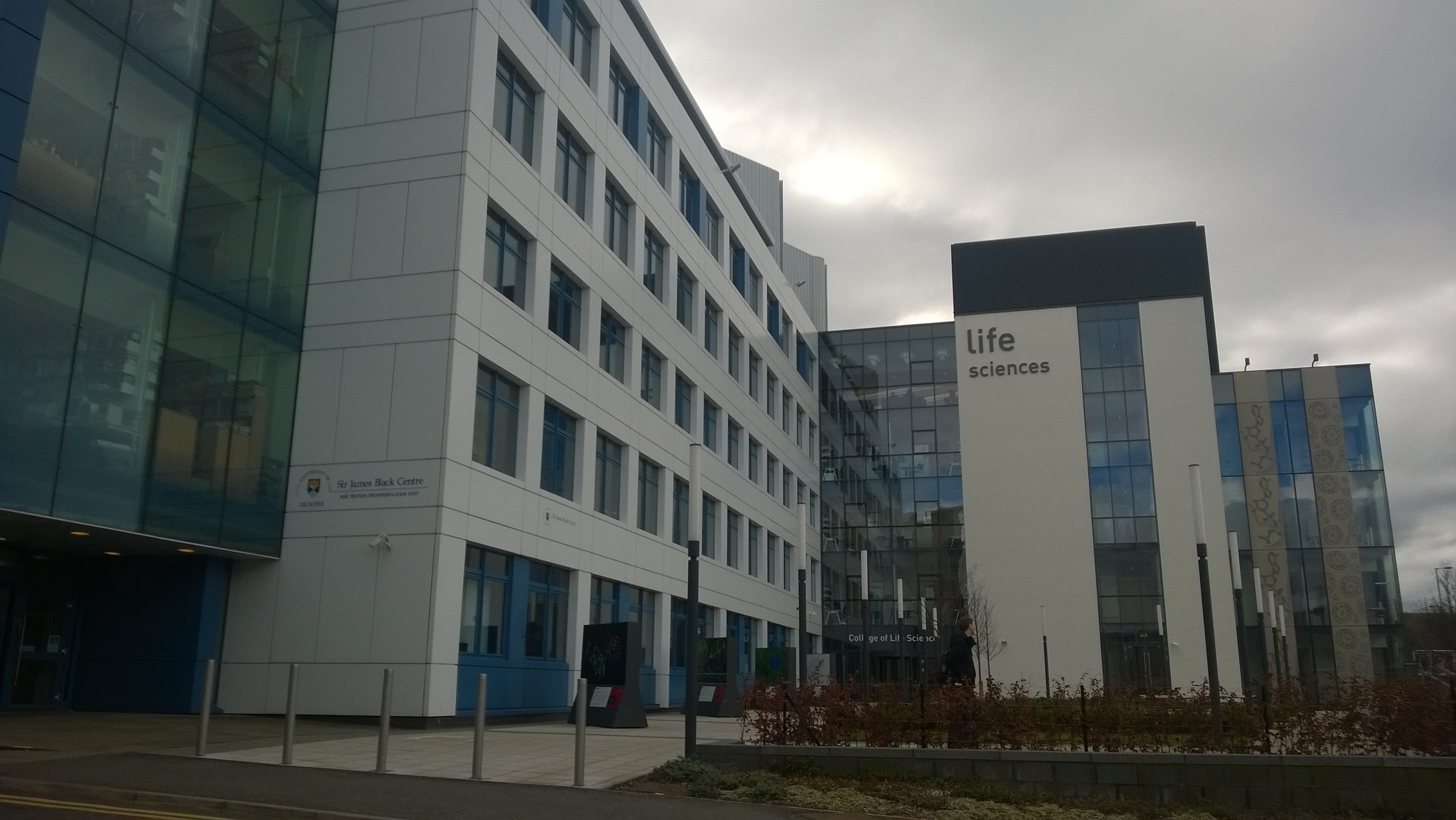 Central Washington University | United Kingdom: University of Dundee